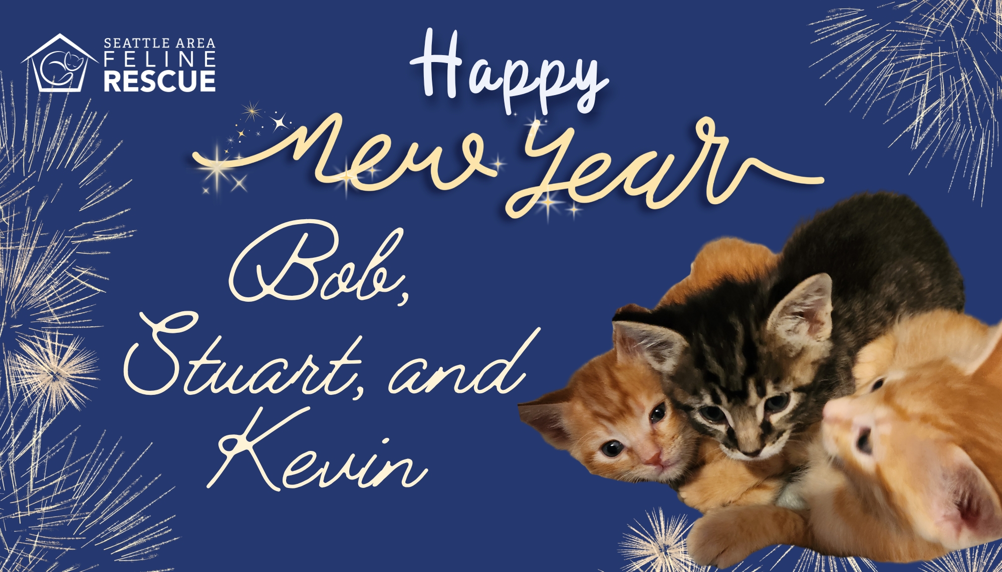 Countdown to the Mew Year #7: Bob, Kevin, and Stuart • Seattle Area ...